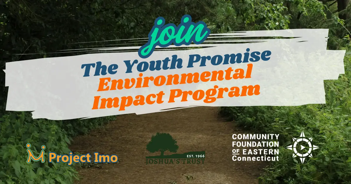 Environmental Impact Program - Project Imo